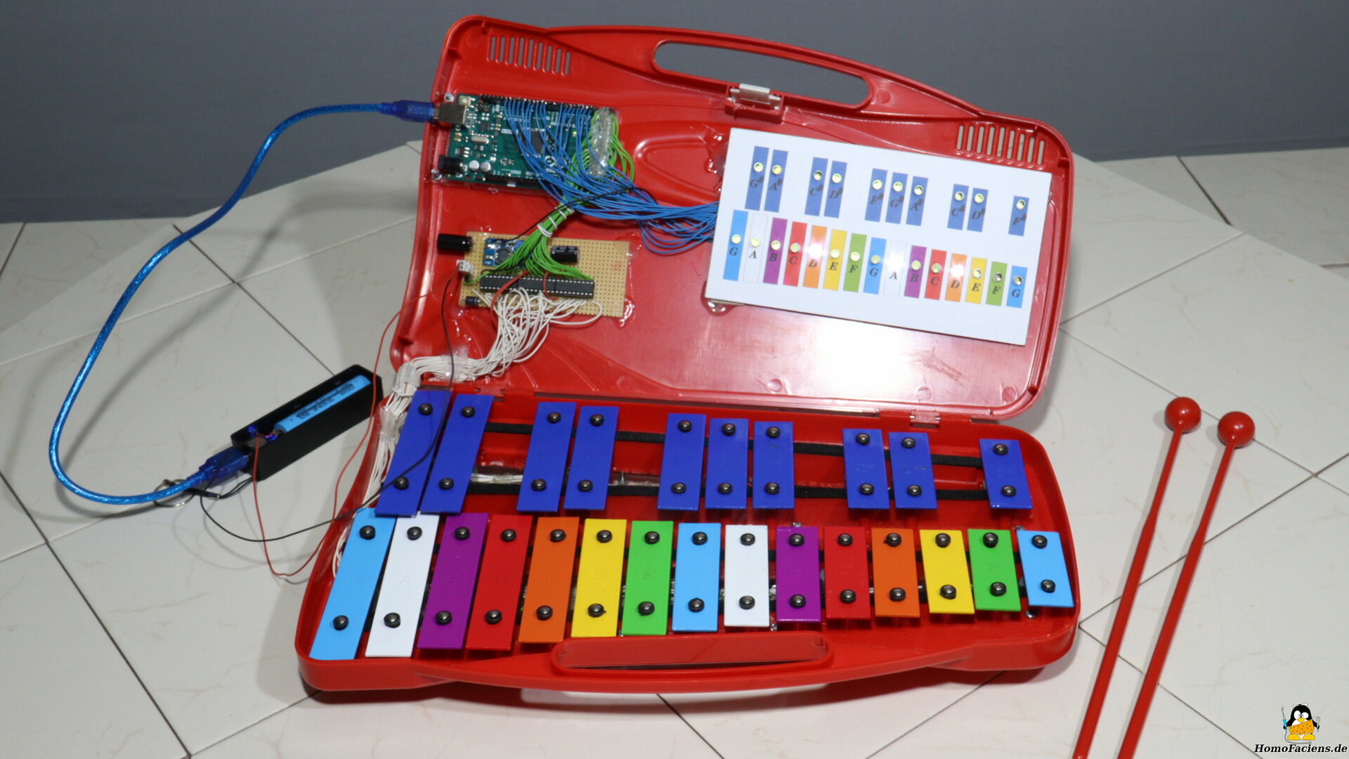 PC: Xylophone - HomoFaciens