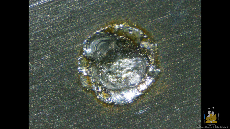 EDM: Flushing - HomoFaciens