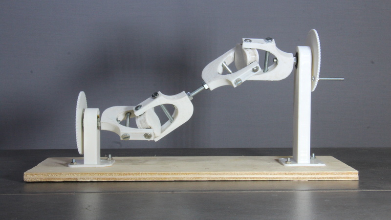 Adjustable joints - HomoFaciens