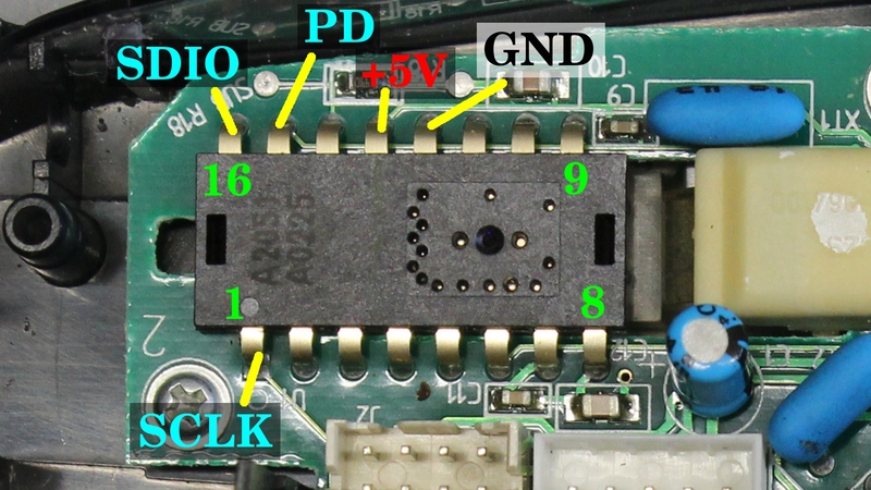 Computer mouse - HomoFaciens